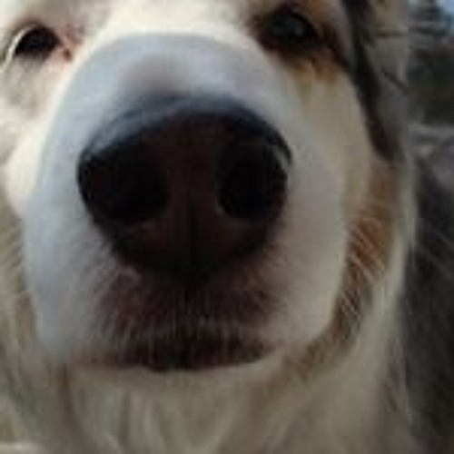 Stream Sammy Levin music | Listen to songs, albums, playlists for free ...