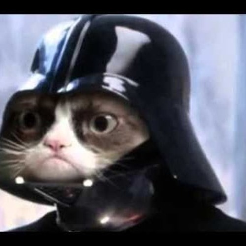 Stream Dart Cat music | Listen to songs, albums, playlists for free on ...