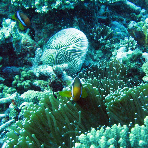 Stream Shane Ogren music | Listen to songs, albums, playlists for free ...