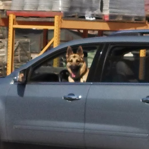 Stream Rob S music | Listen to songs, albums, playlists for free on ...