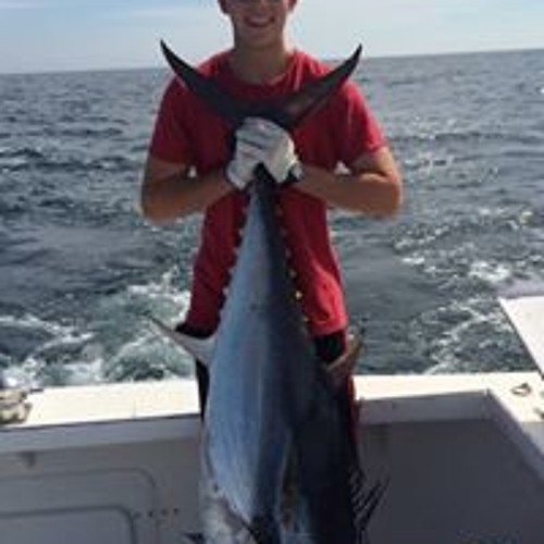 Stream Sam Hornstein music | Listen to songs, albums, playlists for ...