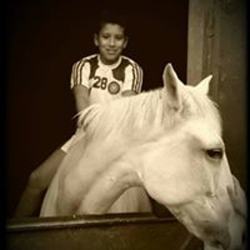 Stream Nour Eldin Elbana music | Listen to songs, albums, playlists for ...