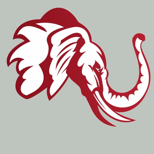 Stream Bad Elephant Music music | Listen to songs, albums, playlists ...