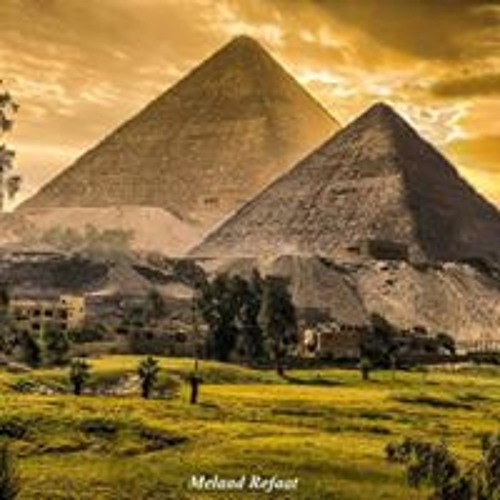 Stream Hamer Max music | Listen to songs, albums, playlists for free on ...