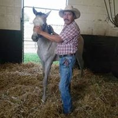 Stream Ariel Coronel music | Listen to songs, albums, playlists for ...