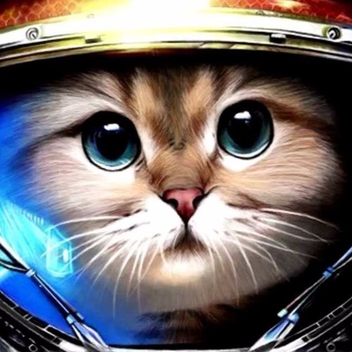 Stream Commander SpaceKat! music | Listen to songs, albums, playlists ...