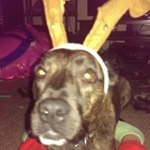 Stream Carol Pyper | Listen to fnaf songs playlist online for free on ...