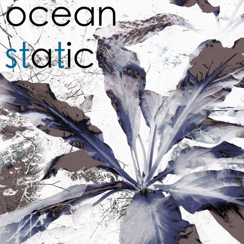 Stream Ocean Static music | Listen to songs, albums, playlists for free ...