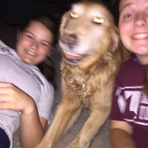 Stream vspahr music | Listen to songs, albums, playlists for free on ...