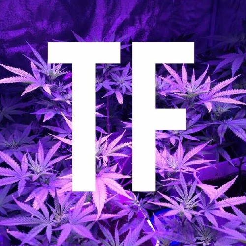 Tony Fontana - Free music on ToneDen