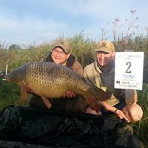 Stream Stuart Campbell music | Listen to songs, albums, playlists for ...