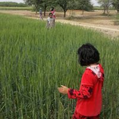 Stream Maria Muhammad music | Listen to songs, albums, playlists for ...