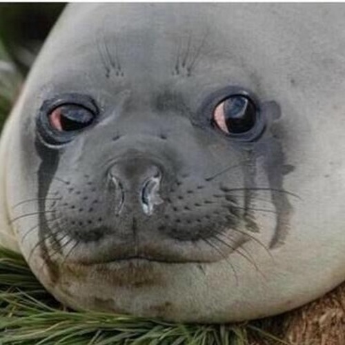 Stream CXV music | Listen to songs, albums, playlists for free on ...