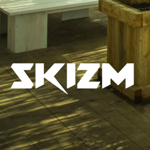 Stream SKIZM RECORDS music | Listen to songs, albums, playlists for ...