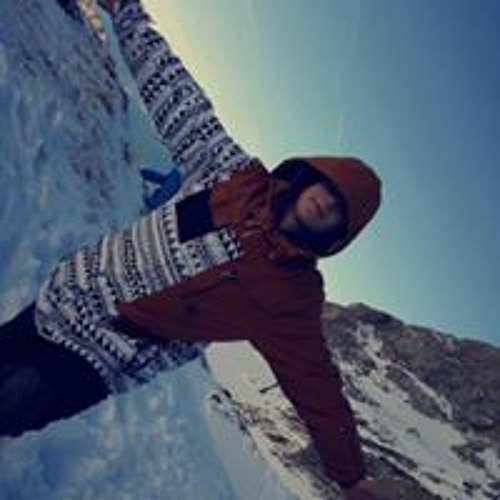 Stream Igor Rausis music | Listen to songs, albums, playlists for free ...