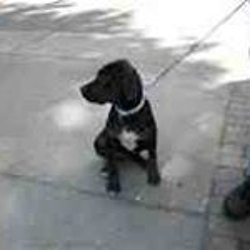 Stream Matthias-Laura Vogl music | Listen to songs, albums, playlists ...