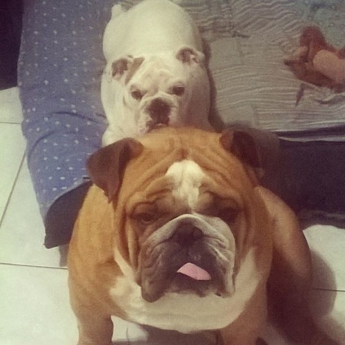 Stream Fernando P. 2014 music | Listen to songs, albums, playlists for ...