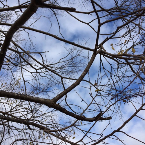 Stream max_rossi music | Listen to songs, albums, playlists for free on ...