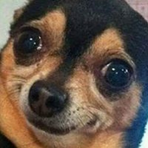 Stream Alex Falu music | Listen to songs, albums, playlists for free on ...