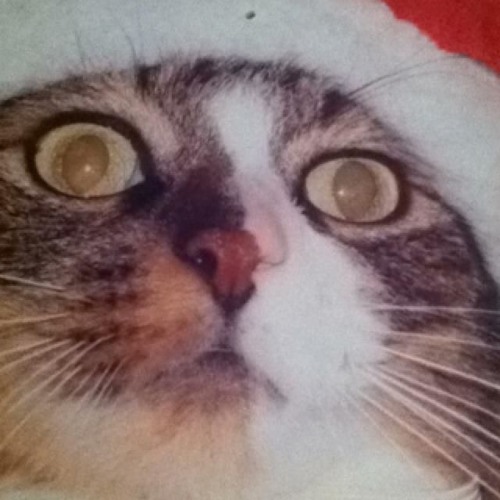 Stream James Owl music | Listen to songs, albums, playlists for free on ...