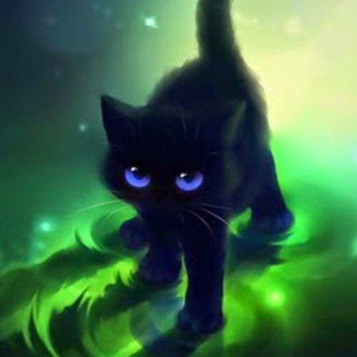 Stream Holy Meow music | Listen to songs, albums, playlists for free on ...