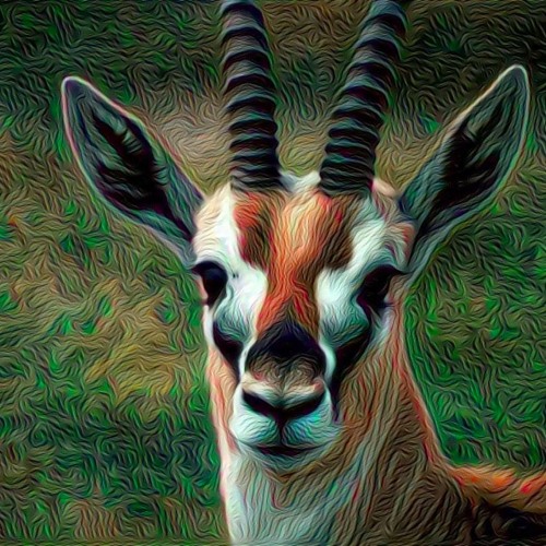 Stream antelope music | Listen to songs, albums, playlists for free on ...