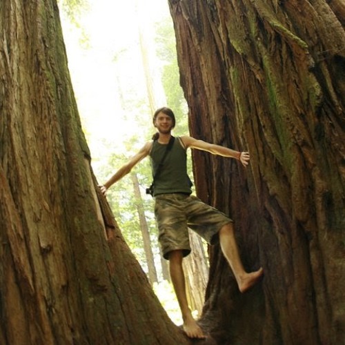 Stream Andrew Jansen music | Listen to songs, albums, playlists for ...