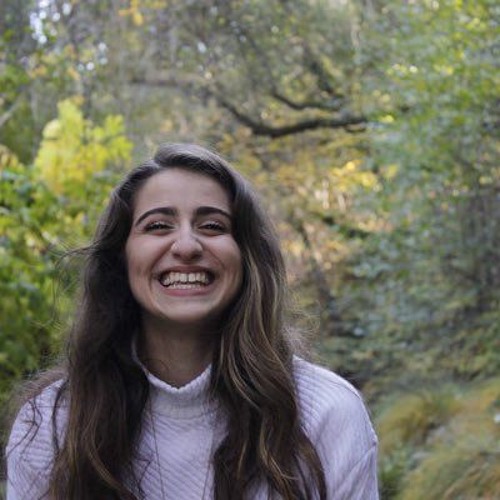 Stream noor halabi music | Listen to songs, albums, playlists for free ...