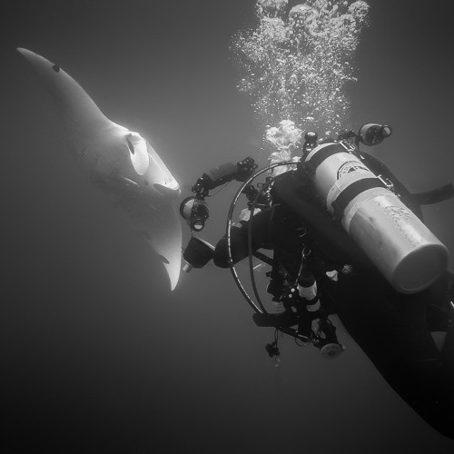 Stream Bill McDavid music | Listen to songs, albums, playlists for free ...