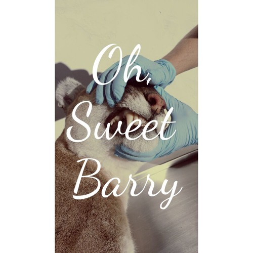 Stream Oh, Sweet Barry music | Listen to songs, albums, playlists for ...