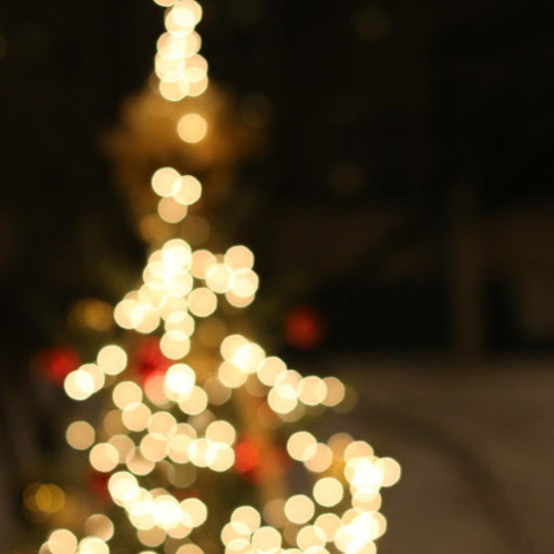 Stream Abby Liang music | Listen to songs, albums, playlists for free ...