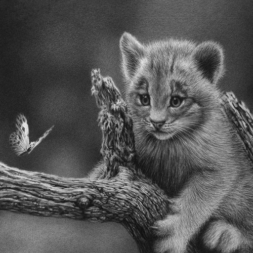 Stream Sally Mahmoud 8 music | Listen to songs, albums, playlists for ...