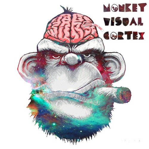 Stream Monkey Visual Cortex music | Listen to songs, albums, playlists ...