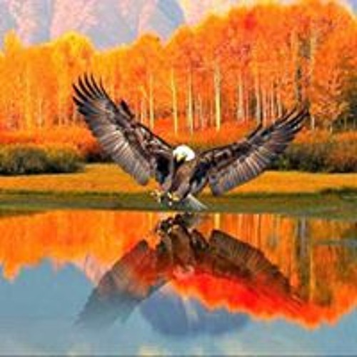 Stream Kimberly Haddock music | Listen to songs, albums, playlists for ...