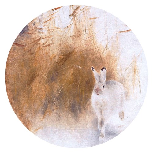 Stream Lachlan Fletcher music | Listen to songs, albums, playlists for ...