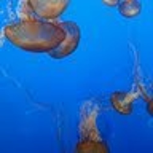 Stream Greg Benz - Aurium May 2005 Mix by Andrew Berget | Listen online ...