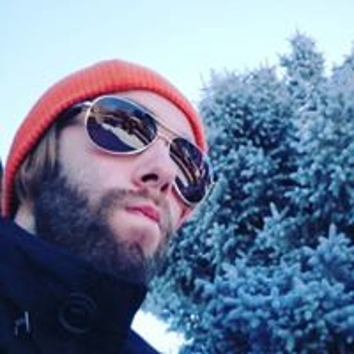 Stream BingusDingus music | Listen to songs, albums, playlists for free ...