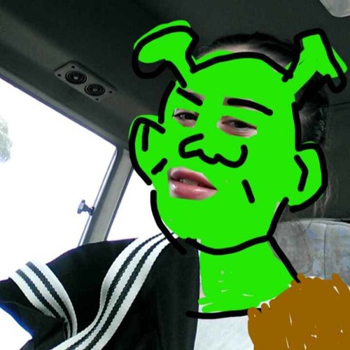 Stream Madison Halpin music | Listen to songs, albums, playlists for ...