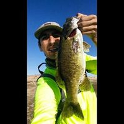 Stream Deven Stone music | Listen to songs, albums, playlists for free ...