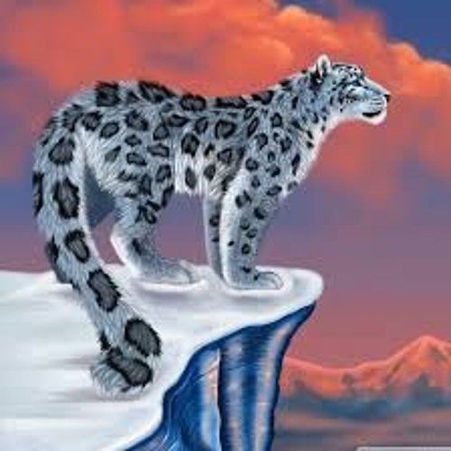 Stream Snow Leopard music | Listen to songs, albums, playlists for free ...