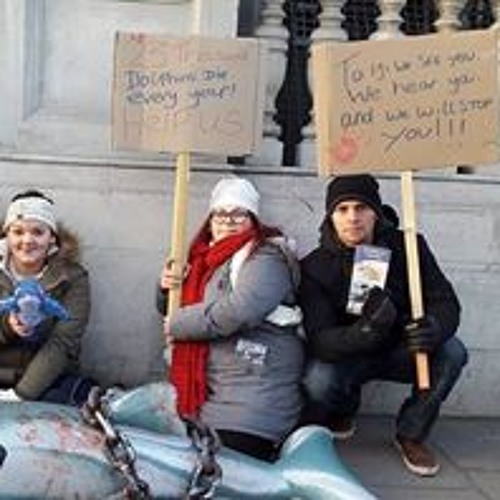 Stream Hannah Steph music | Listen to songs, albums, playlists for free ...