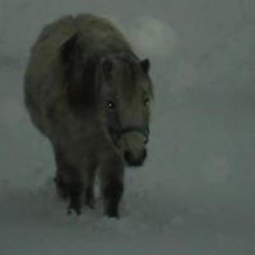 Stream Michael Kristoffersen music | Listen to songs, albums, playlists ...