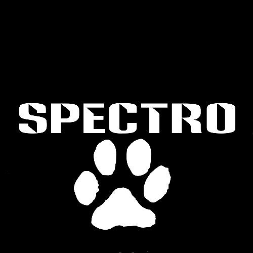Stream Spectro oficial music | Listen to songs, albums, playlists for ...