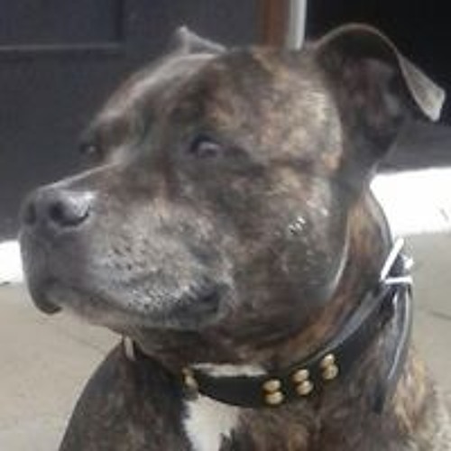 Stream Aaron H Brogan music | Listen to songs, albums, playlists for ...