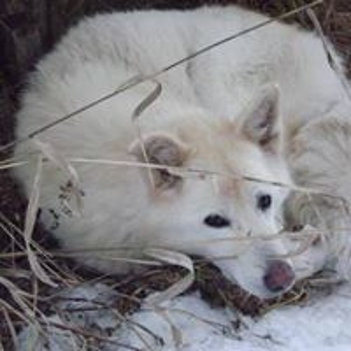 Stream Brenda Dukart Clarkson music | Listen to songs, albums ...