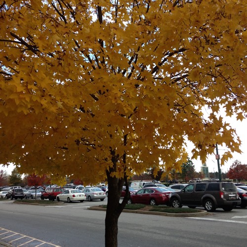 Stream Kenzie Butler music | Listen to songs, albums, playlists for ...