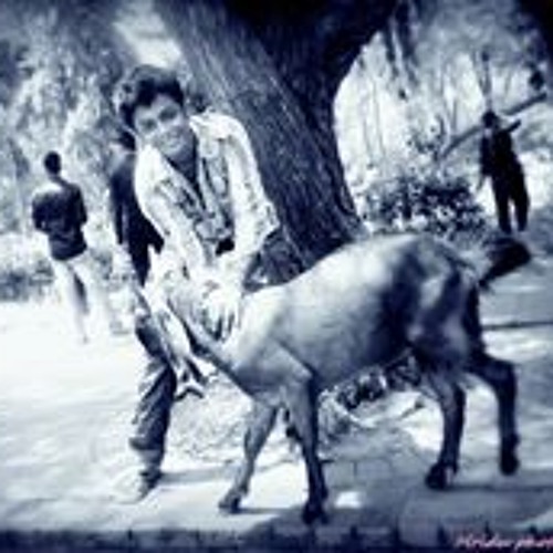 Stream Mridul Kanti Dey music | Listen to songs, albums, playlists for ...