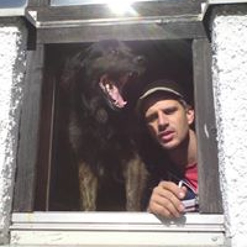 Stream Robert Engelmann music | Listen to songs, albums, playlists for ...