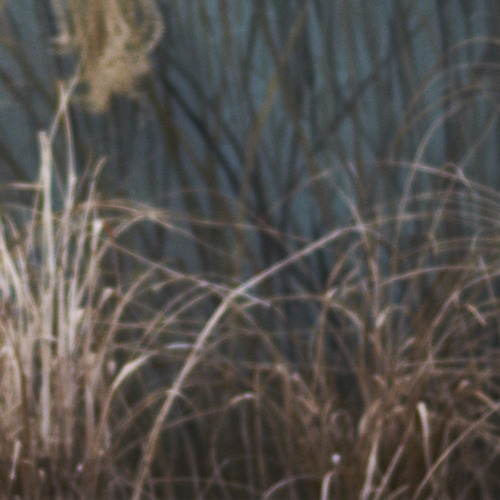 Stream Tall Shapes music | Listen to songs, albums, playlists for free ...