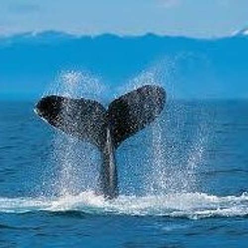 Stream Epix Gaming music | Listen to songs, albums, playlists for free ...